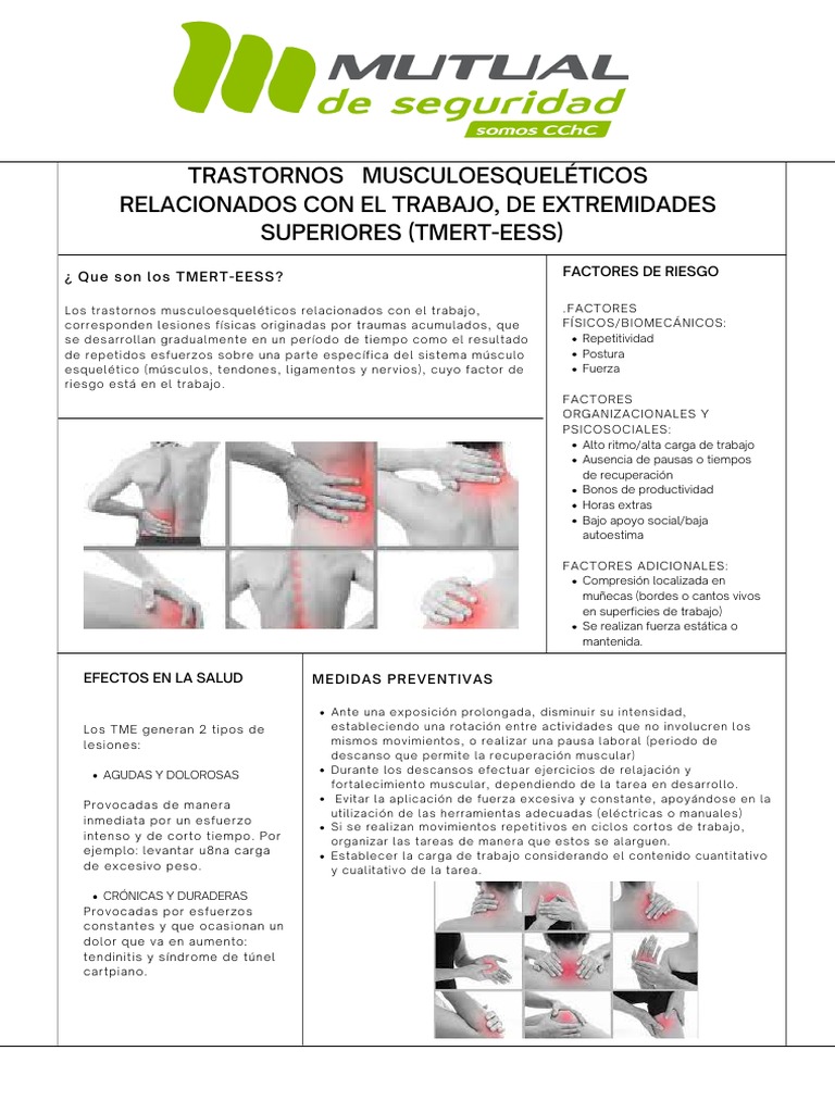 Afiche Tmert | PDF | Músculo esquelético | Enfermedades y trastornos ...