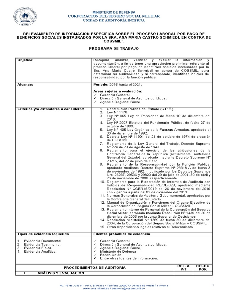 Programa de Trabajo Relv Beneficios Sociales | PDF