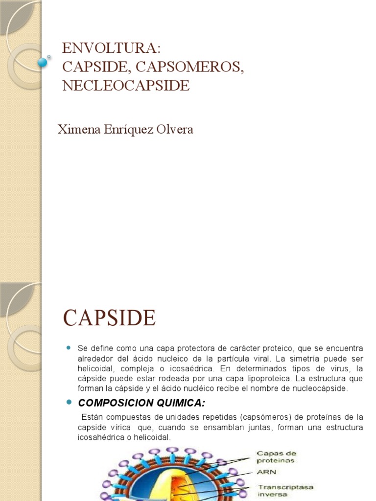 Capside Capsomeros Nucleocapside | PDF | Biología Celular | Virología