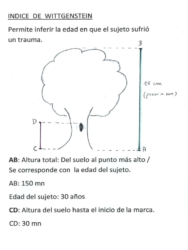 Indice de Wittgenstein | PDF