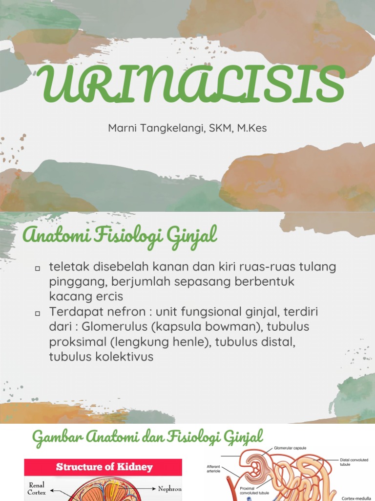 URINALISIS Fix | PDF