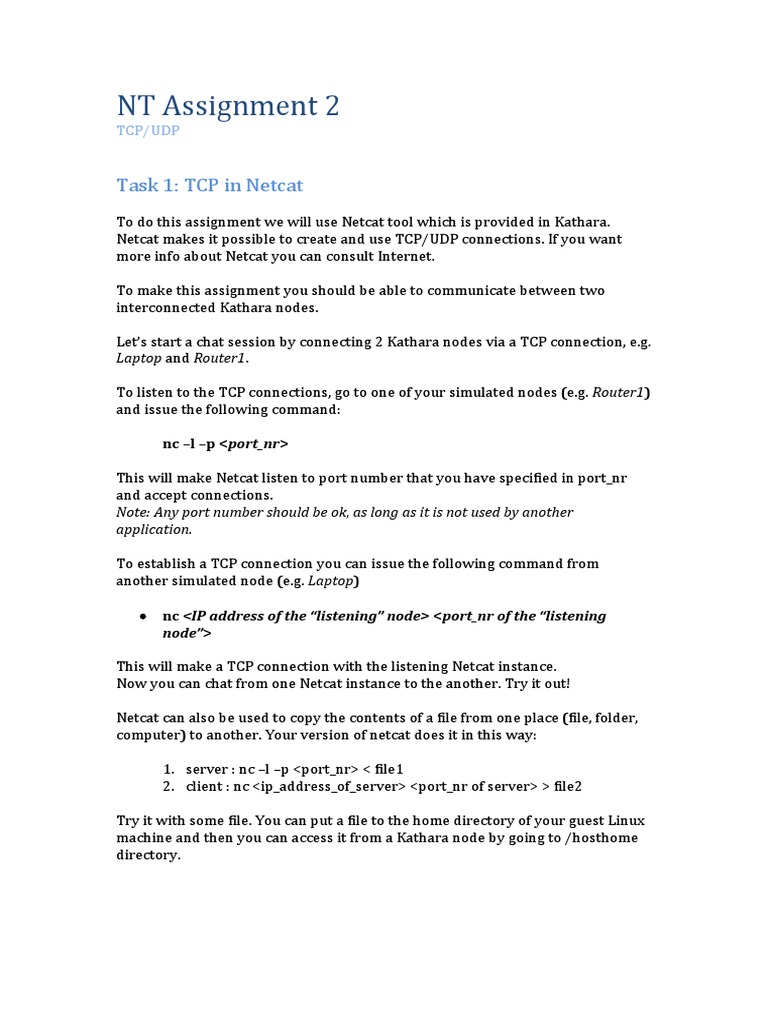 NTAssignment 2 | PDF | Transmission Control Protocol | Port (Computer Networking)