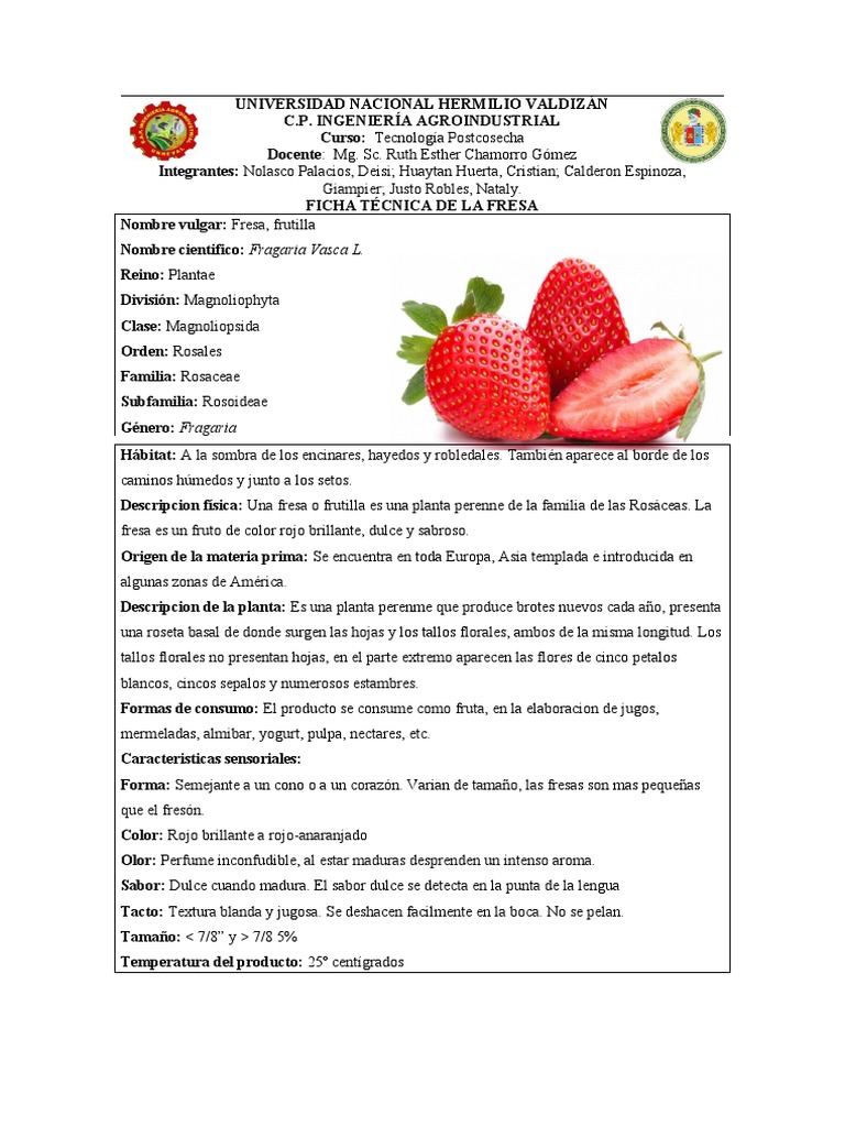 Ficha Técnica de La Fresa | PDF | fresa | Plantas