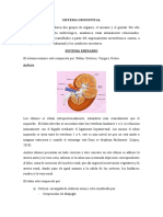 Uretrostomía | PDF | Vejiga urinaria | Pelvis