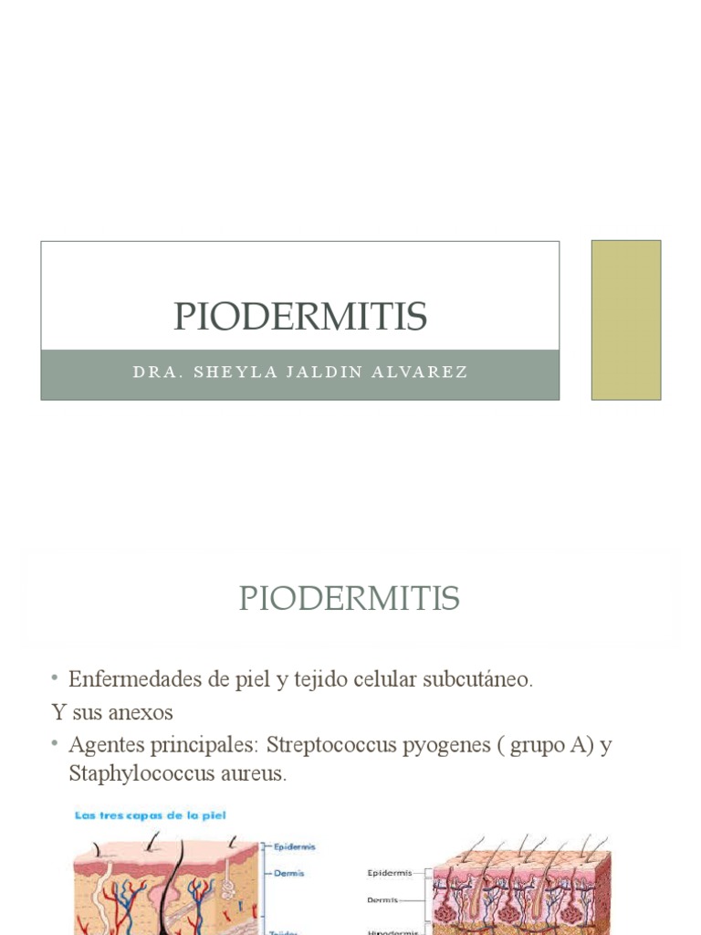 Guía Completa sobre Piodermitis y Complicaciones | PDF