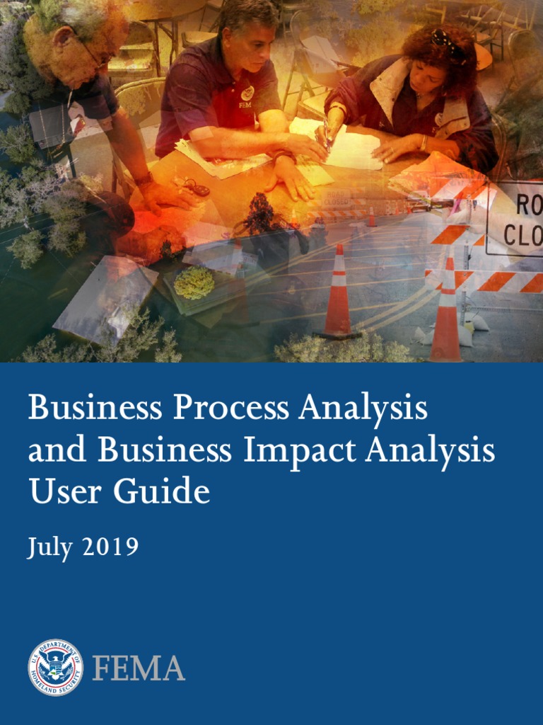 BIA and Risk Mitigation | PDF