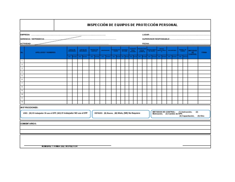 Formato Inspeccion de EPP | PDF
