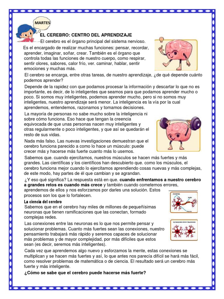 El Cerebro Centro de Aprendizaje 22 - 11 - 22 | PDF | Cerebro | Aprendizaje
