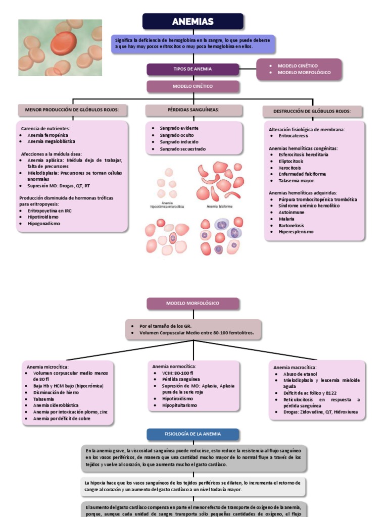 Anemias Mapa Conceptual 142076 Downloable 2211747 Removed | Descargar ...