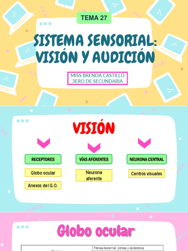 Tema 27 Sistema Sensorial Vision y Audicion | PDF | Ojo humano ...
