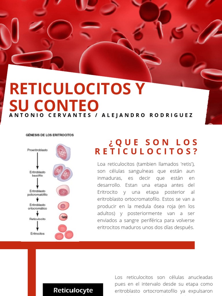 Reticulocitos y Su Conteo | PDF | Sangre | Tejido (biología)