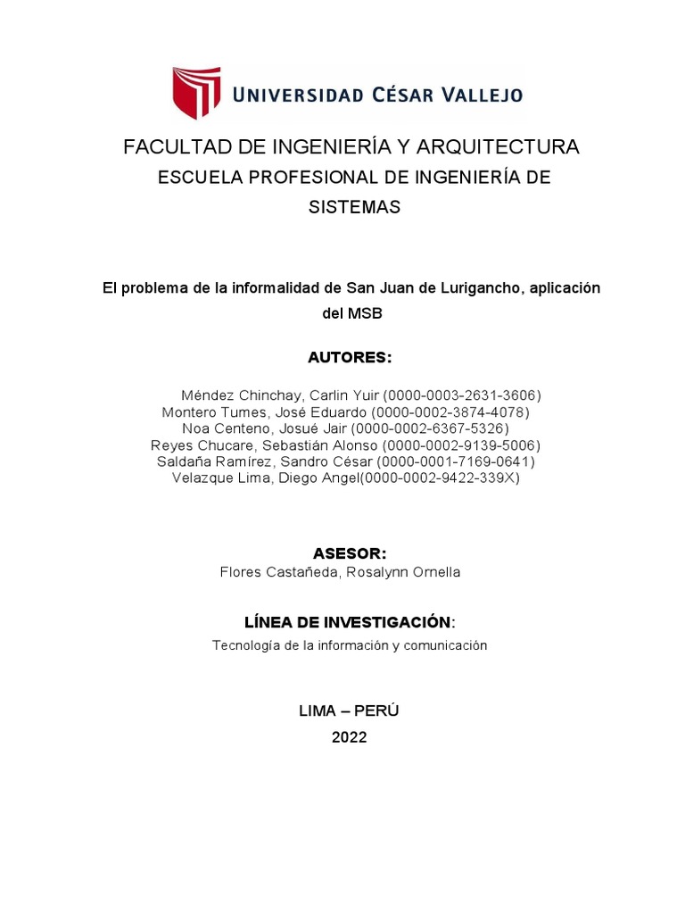 Informe - Informalidad en SJL Real | PDF