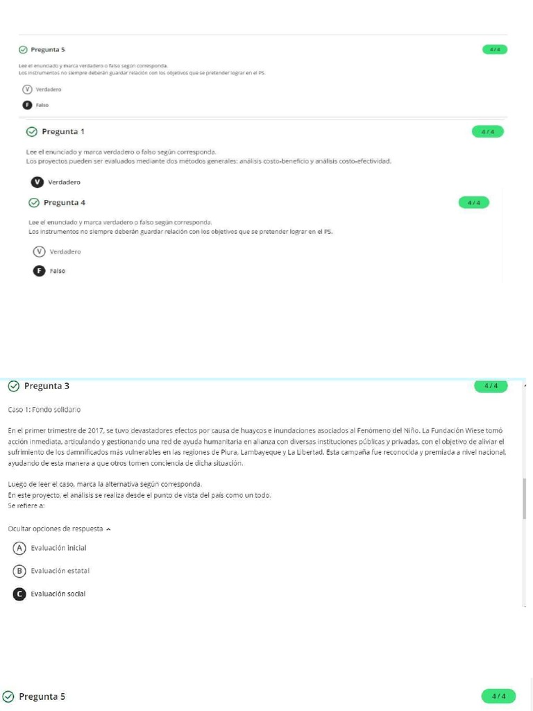 Proyecto Social t4 | PDF