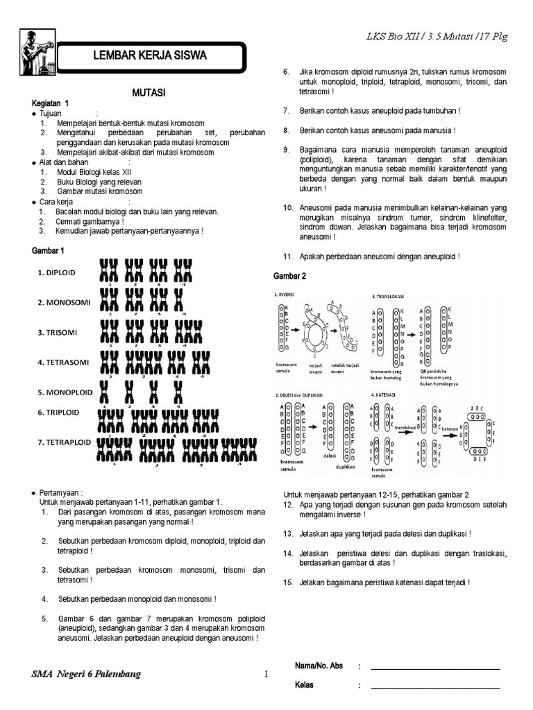LKPD 2. Mutasi | PDF