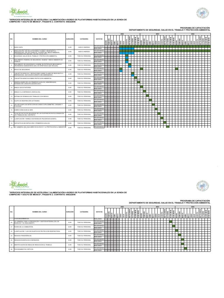 Programa de Capacitación VF | PDF