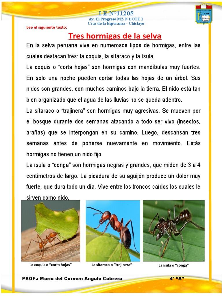 Las Tres Hormigas | PDF | Hormiga | Insectos