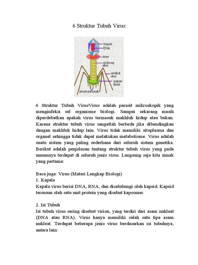 Struktur dan Fungsi Tubuh Virus | PDF