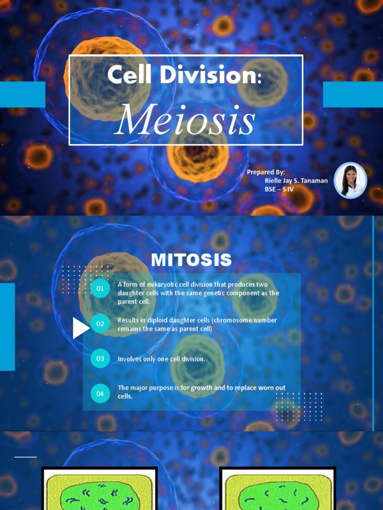 Meiosis_PPT_-_Grade_8 | PDF | Meiosis | Chromosome