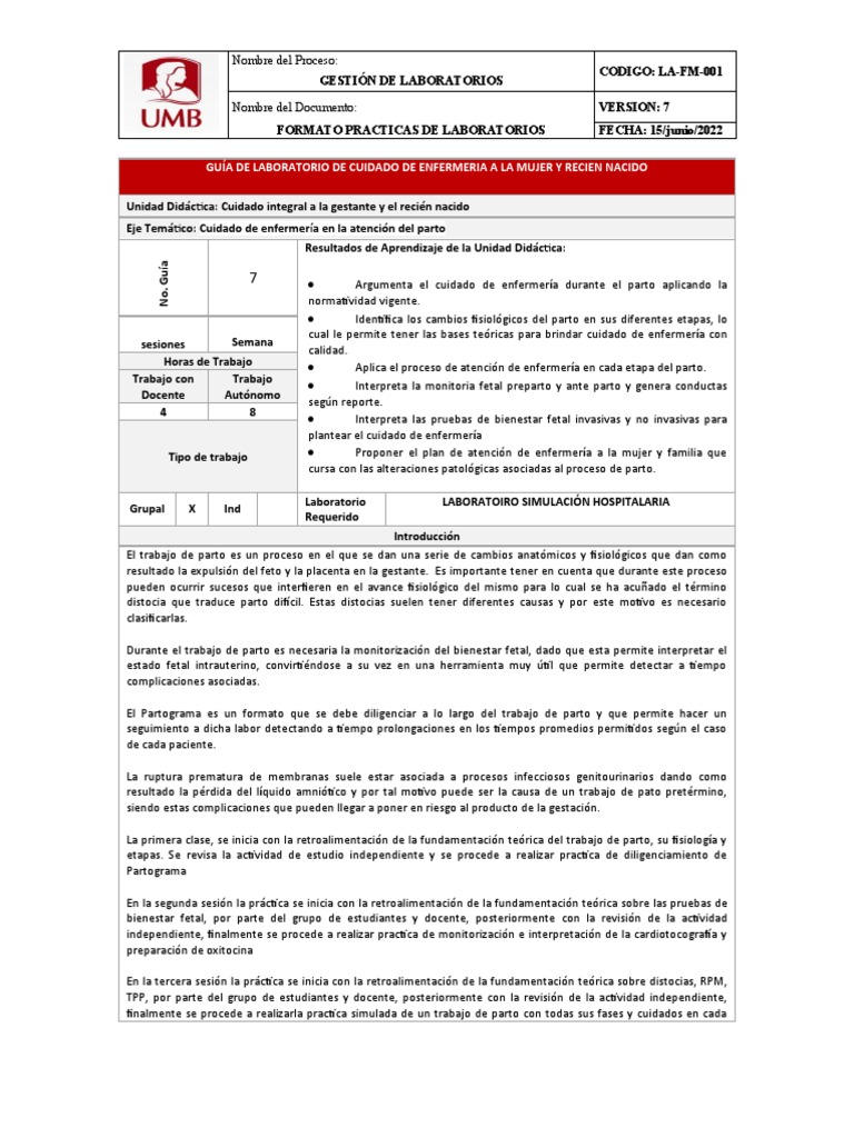 La-Fm-001 Formato Practicas de Laboratorios Guia 7 | PDF | Parto | Muerte materna