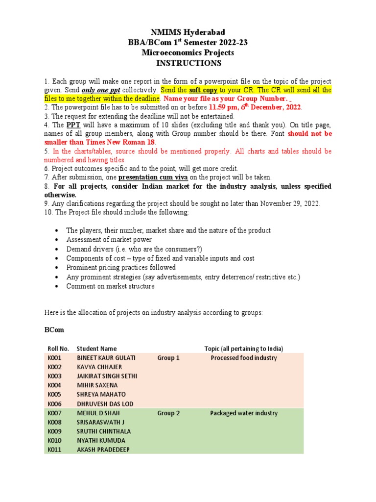 Project Guidelines 22 | PDF