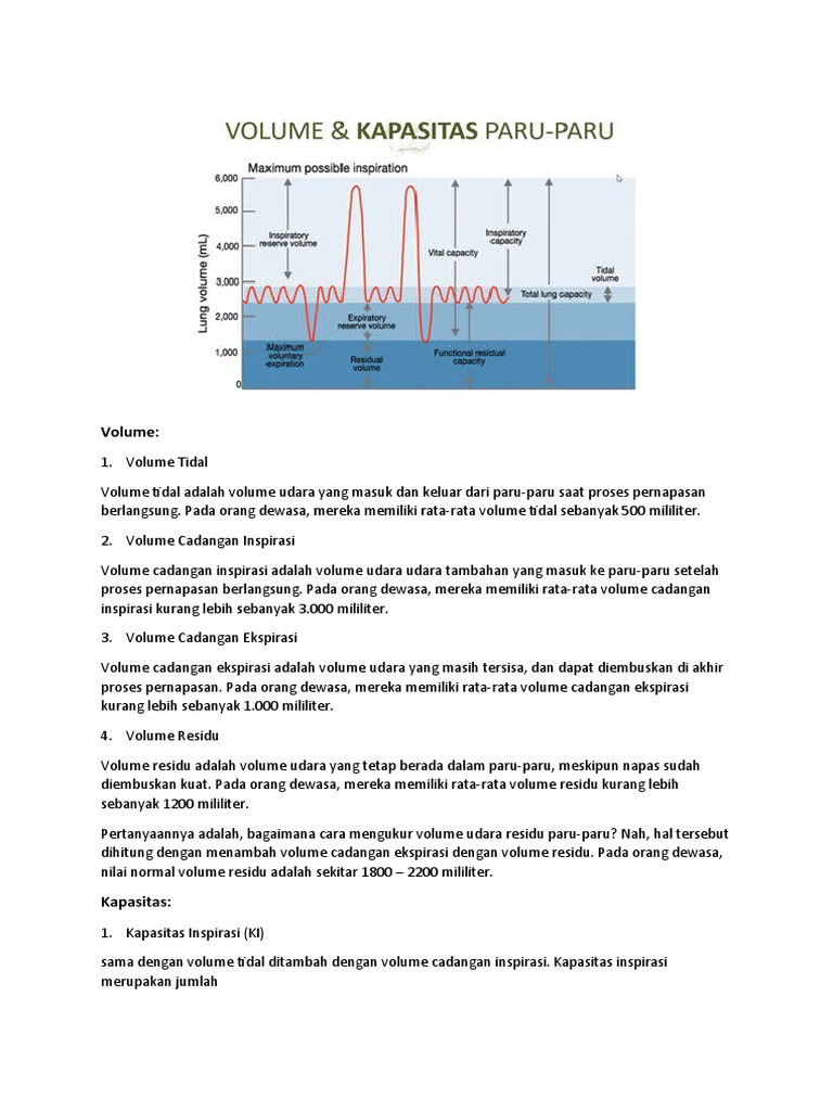 Volume Dan Kapasitas Paru-Paru | PDF