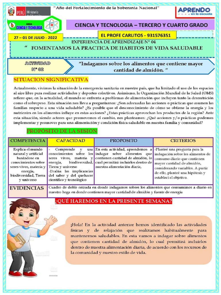 Experiencia de Aprendizaje 04 - Cyt - Actividad 02 - 3ero y 4to Grado - 00001 | PDF