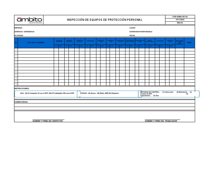 Formato Inspeccion de EPP | PDF