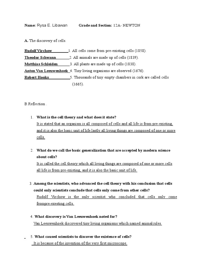 Fivgmigey Cell Theory Activity | PDF