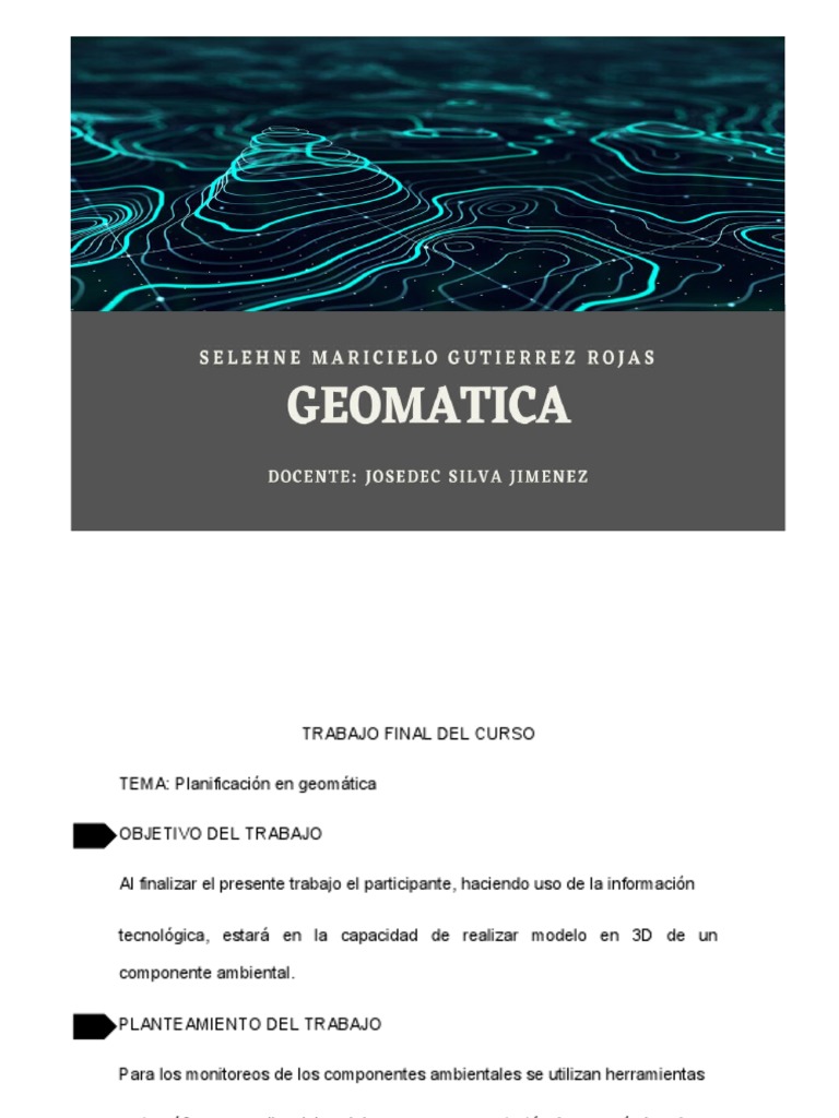 Trabajo Final Del Curso (Geomatica) | PDF | La contaminación del aire | Business