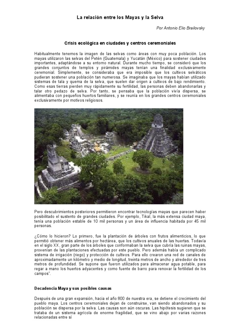 La Relación Entre Los Mayas y La Selva | PDF | Civilización maya | Selva