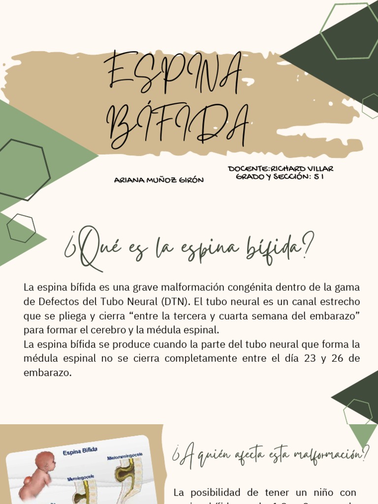 Espina Bifida | PDF