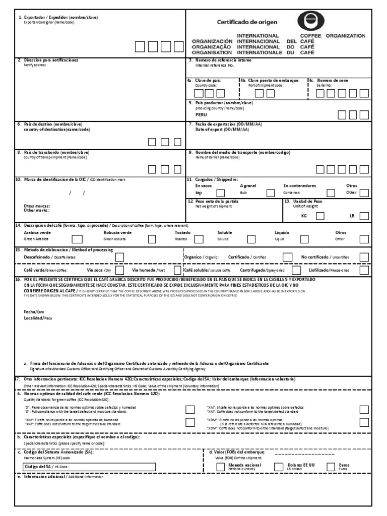 Formato ICO Virtual | PDF