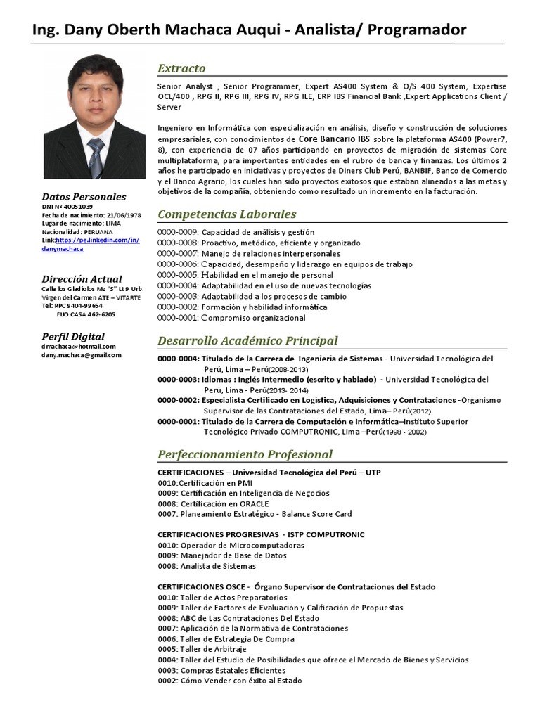 CV Dany Machaca Auqui | PDF