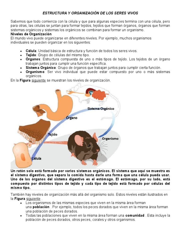 Biologia Estructura y Organización de Los Seres Vivos | PDF ...