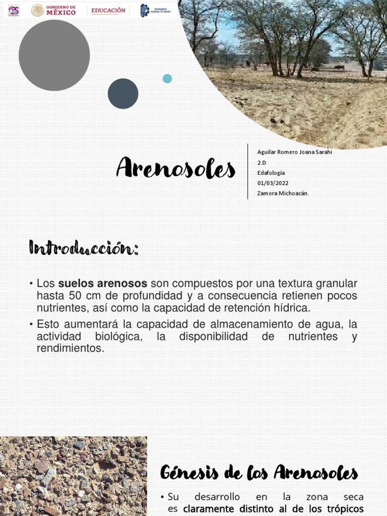 Arenosoles | PDF | Suelo | Riego