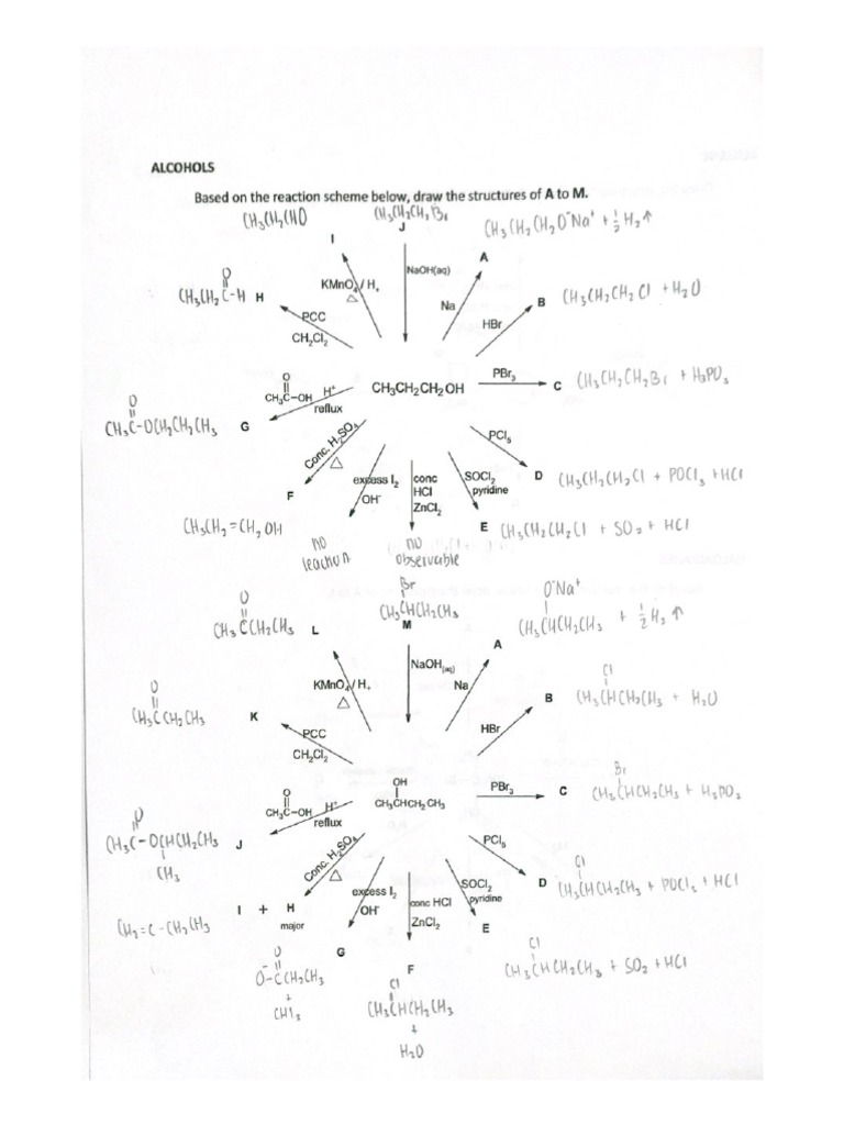 Mind Map Module SK025 | PDF