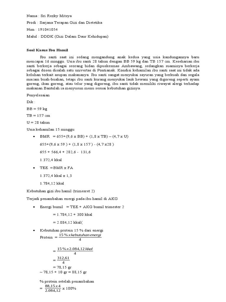 Sri Rezky Mitsya (KEL 10) Menu Ibu Hamil | PDF