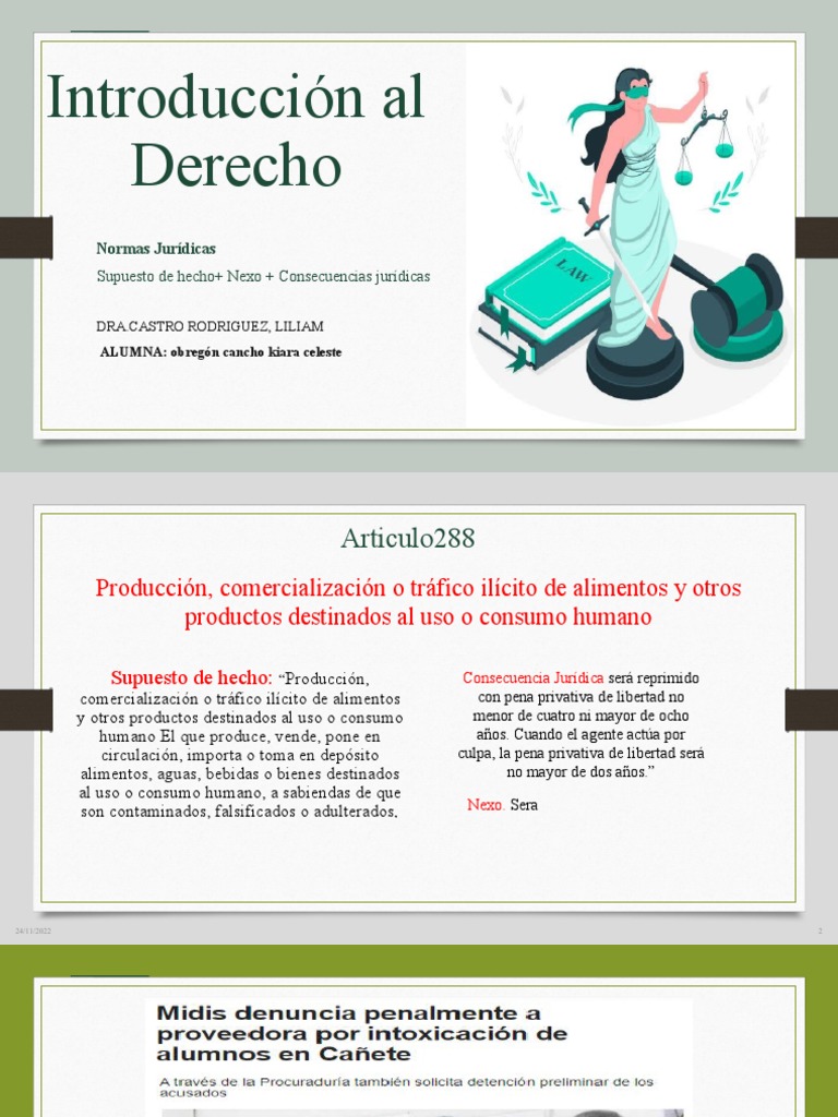 Introduccion Al Derecho | PDF Introduccion Al Derecho | PDF