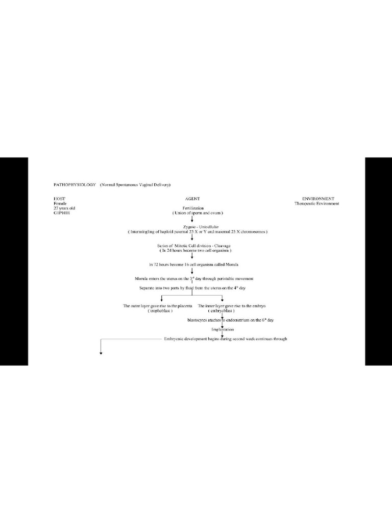 Anatomy and Pathophysiology NSVD | PDF