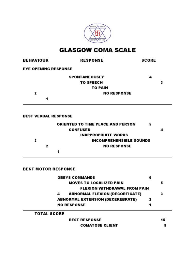 Glasgow Coma Scale | PDF