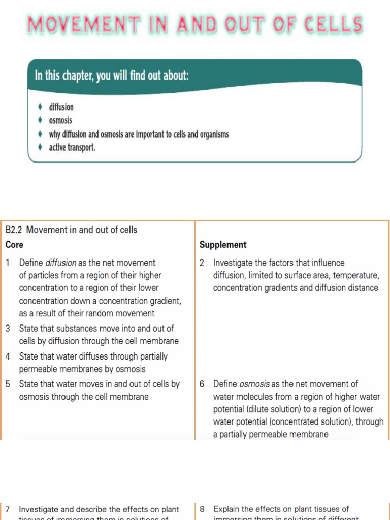 Movement in and Out | PDF | Osmosis | Diffusion