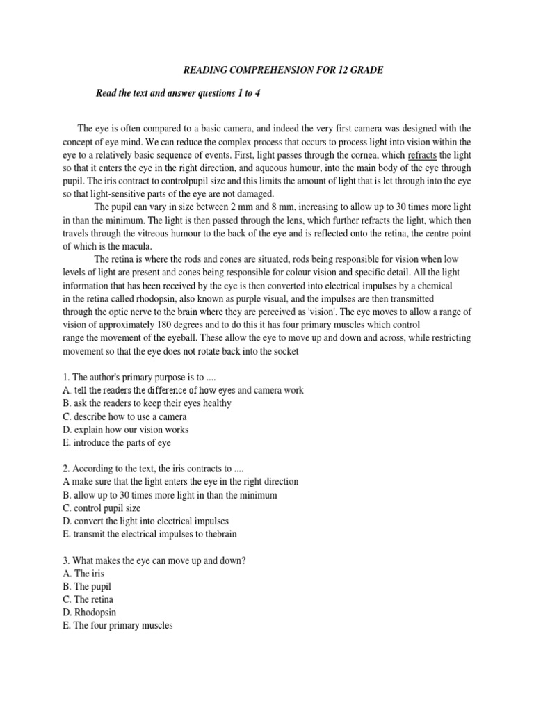 Reading Comprehension For 12 Grade | PDF | Eye | Chocolate