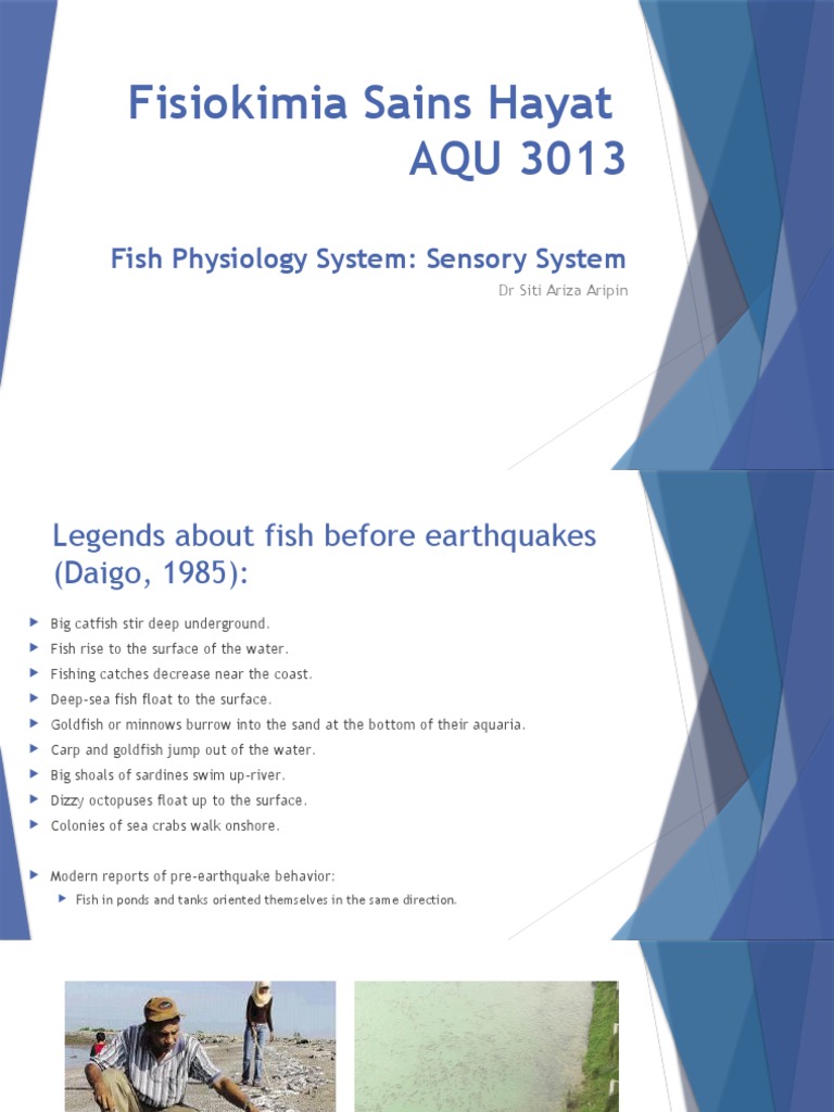 Fish Sensory Systems: An Overview of the Mechanisms of Sensory ...