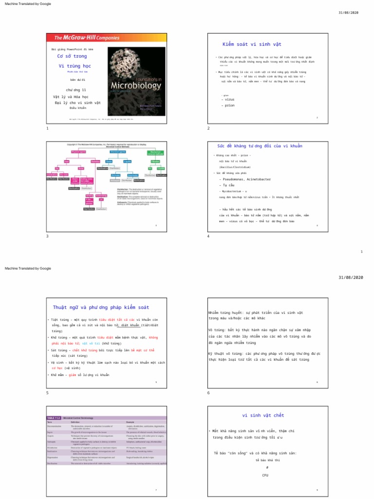 Chapter11 Lecture | PDF