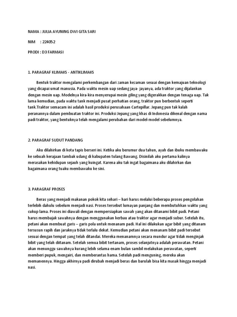 Julia Ayuning (Paragraf) | PDF