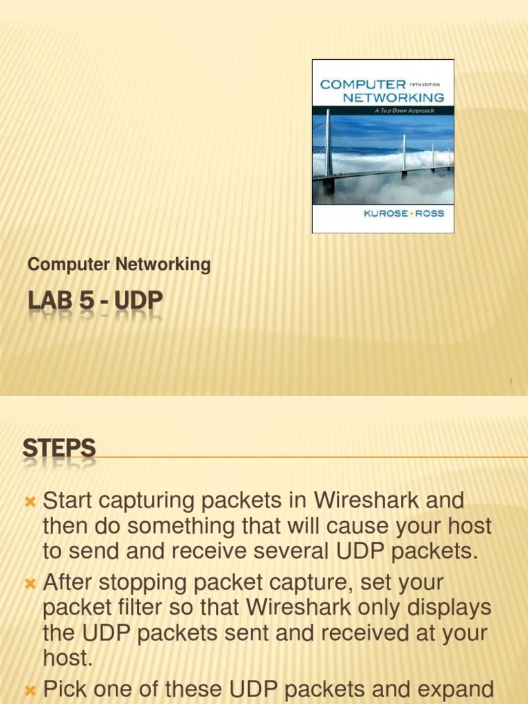 05 Lab 5 Udp | PDF