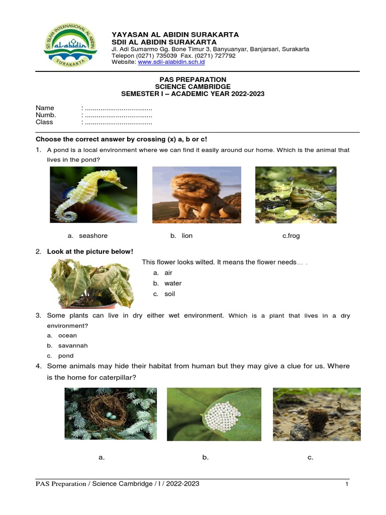 Contoh Soal Sains Cambridge Kelas 1 | PDF | Nature