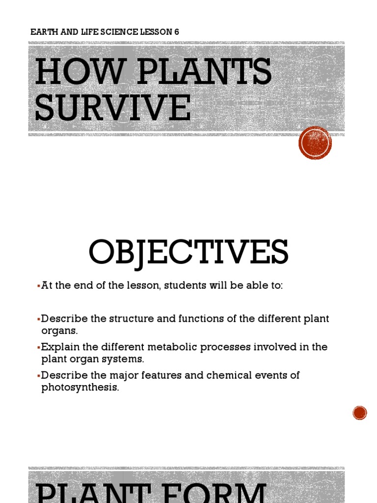 How Plants Survive | PDF | Leaf | Plant Stem