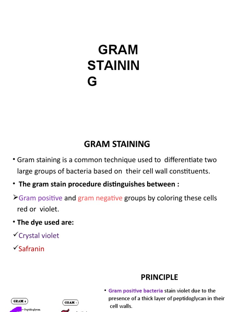 Gram Staining | PDF