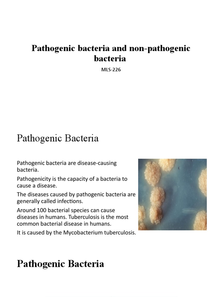 Pathogenic and Non-Pathogenic Bacteria | PDF